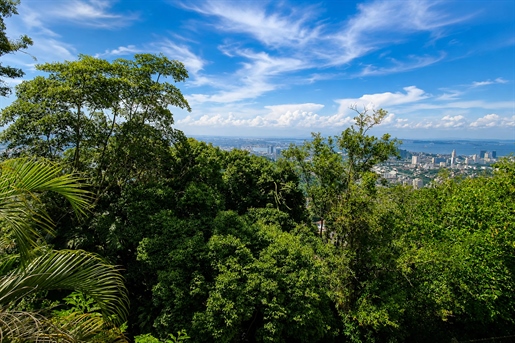 Do expats have to pay taxes both in Brazil and their home country ...