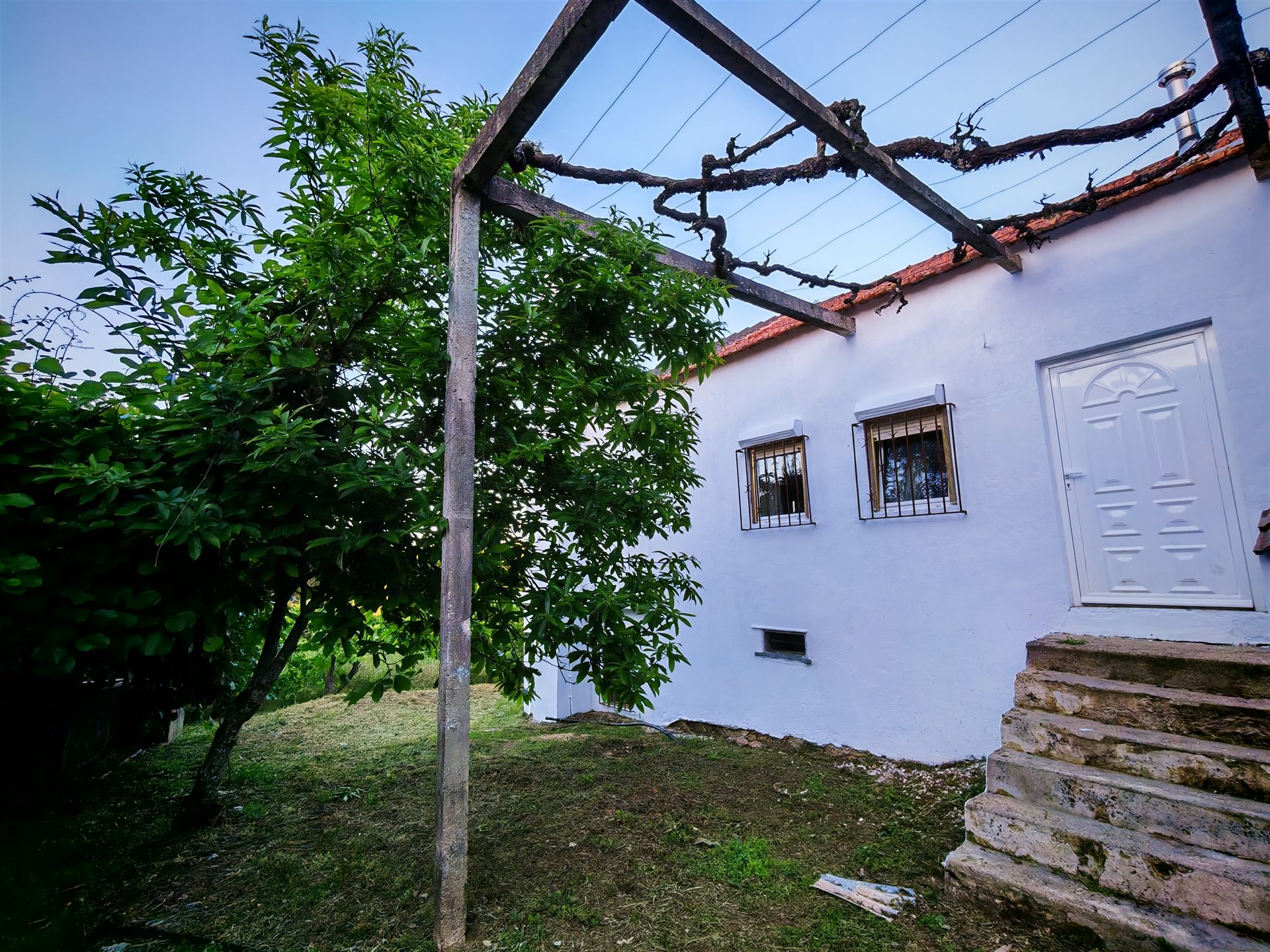 Preços de imóveis no Funchal: ainda vale a pena investir? – Green-acres